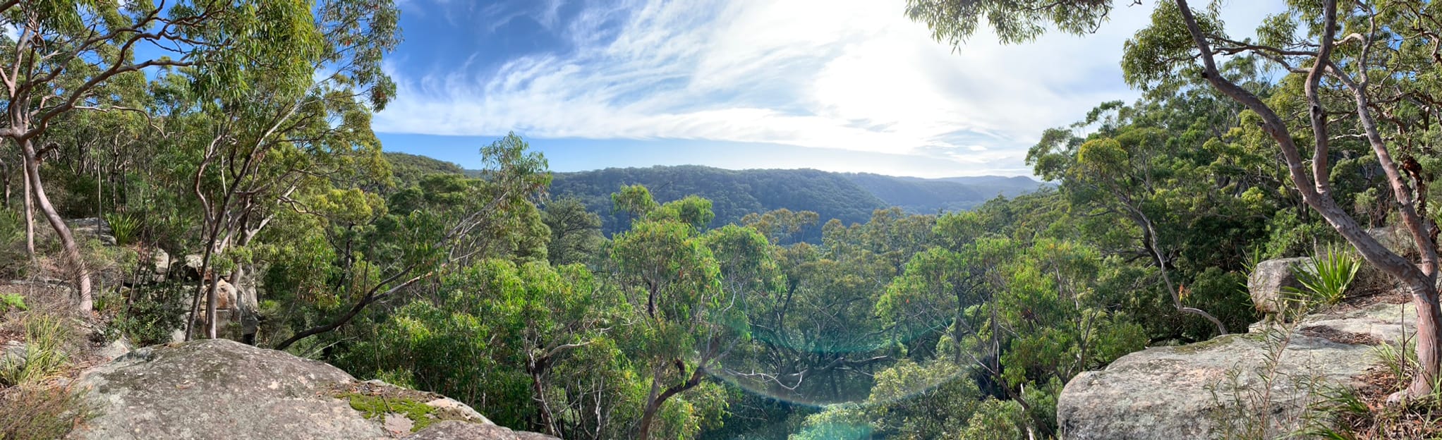 Forest Walk to Sublime Point Track, New South Wales, Australia - 170 ...