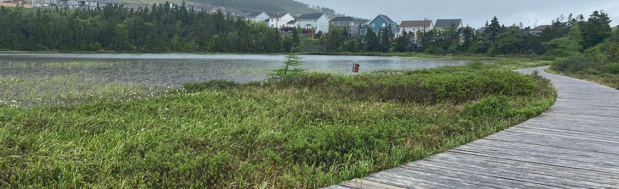 Branscombe's Pond Loop: 48 Reviews, Map - Newfoundland and Labrador ...