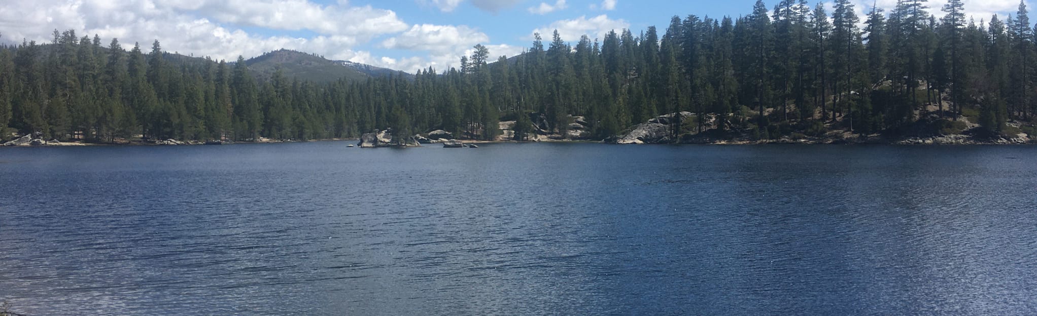 Gerle Creek Interpretive Trail: 15 fotos - California | AllTrails