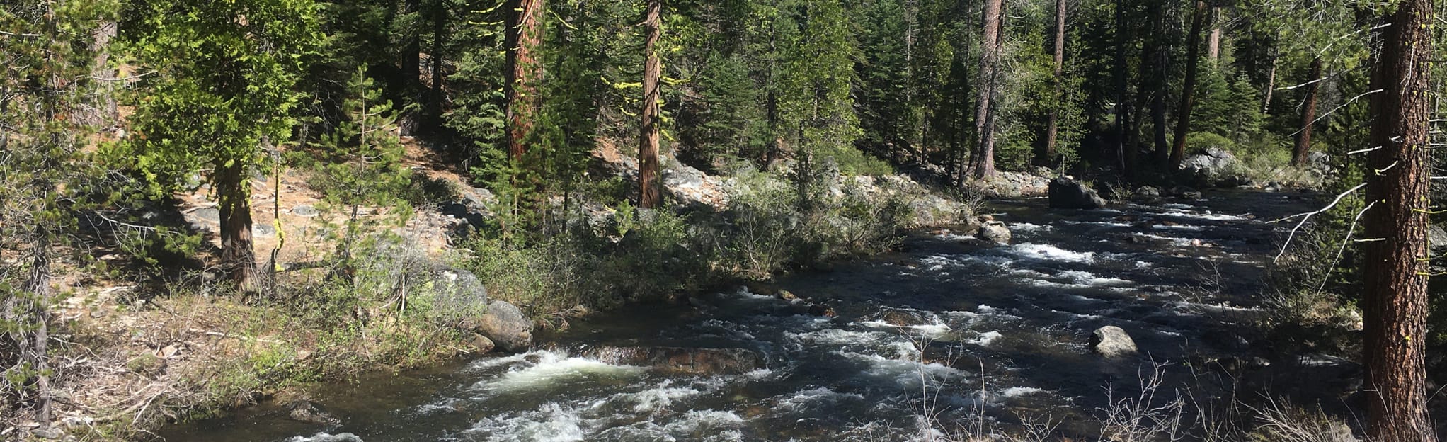 Gerle Creek Trail: 21 Fotos - Kalifornien | AllTrails