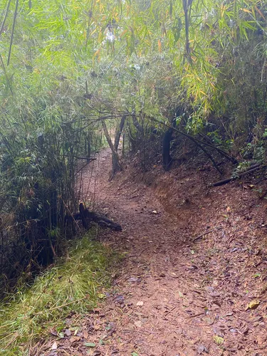 10 Best Mountain Biking Trails in Costa Rica | AllTrails