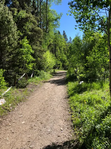 10 Best Trail Running Trails in Carson National Forest | AllTrails