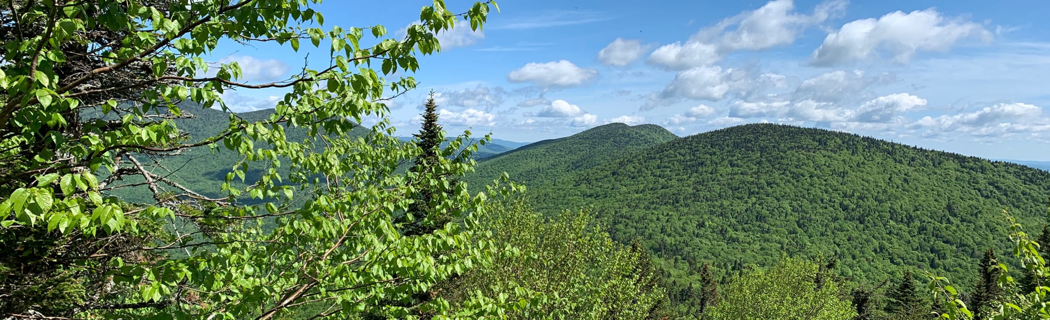 The Long Trail: VT 242 to VT 58, Vermont - 34 Reviews, Map | AllTrails