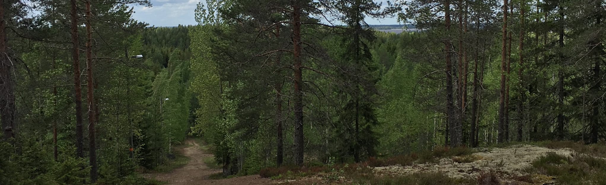 Peuran Polku: Kuivajärvi - Petäjämäki Sports Center, Central ...