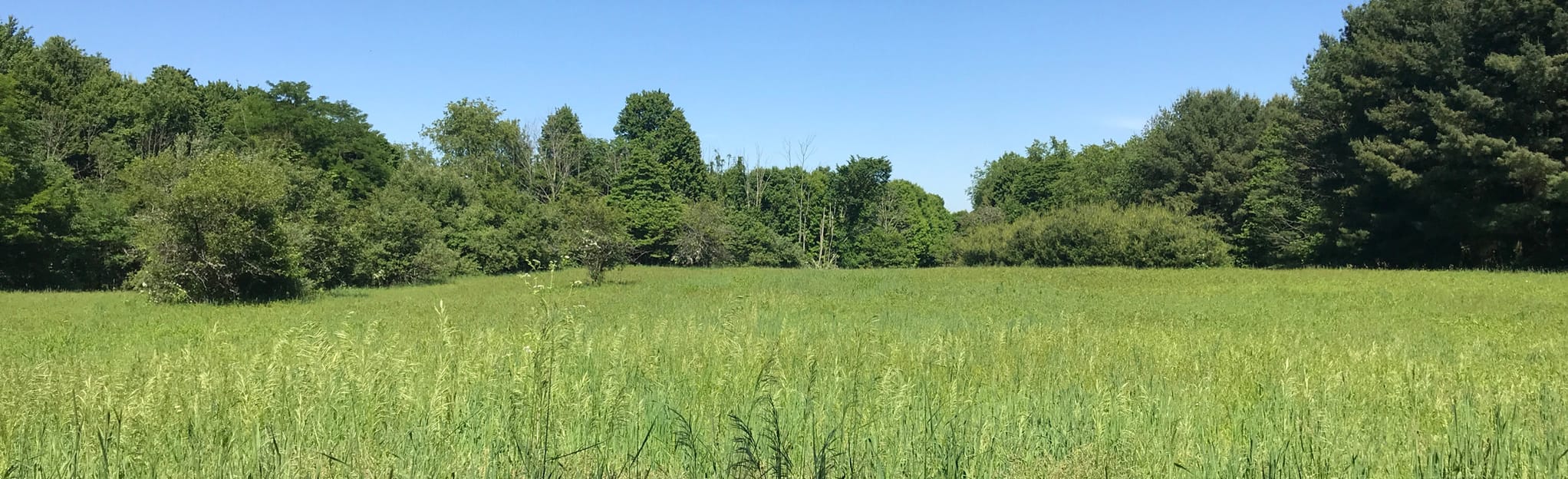 Ferguson Falls, Ohio - 43 Reviews, Map | AllTrails