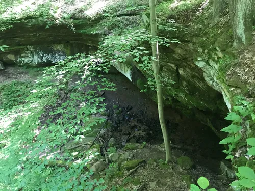 Best Hikes and Trails in Malabar Farm State Park | AllTrails