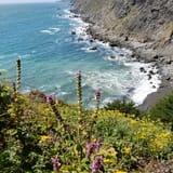 Ragged Point Trail, California - 103 Reviews, Map | AllTrails