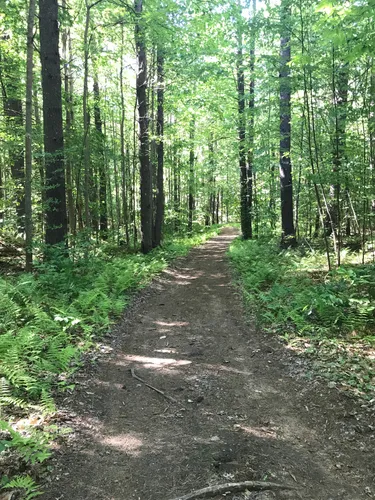 Best 10 Hikes and Trails in Bear Brook State Park | AllTrails