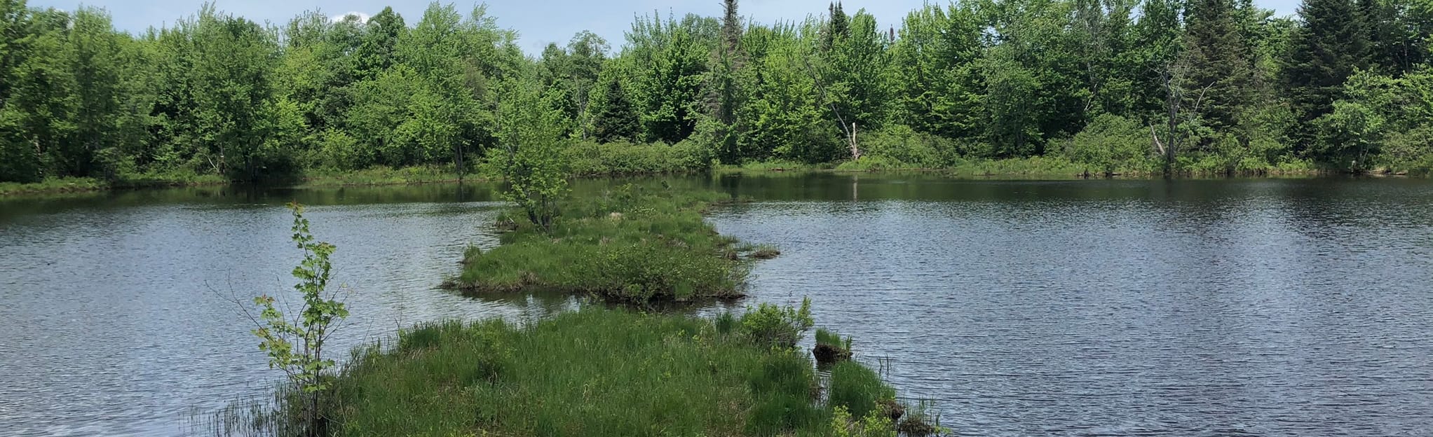 Magalloway River Trail: 62 Reviews, Map - New Hampshire | AllTrails