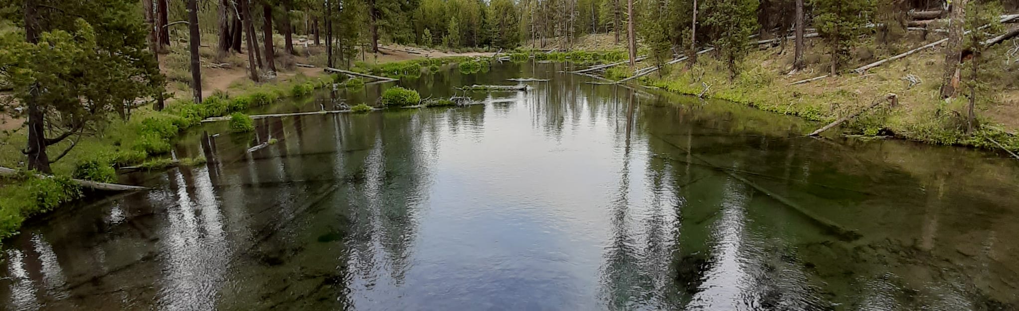 Fall River Trail, Oregon - 342 Reviews, Map | AllTrails