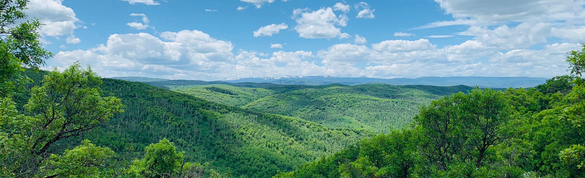 Beall and Ridge Trail Loop, Colorado - 54 Reviews, Map | AllTrails