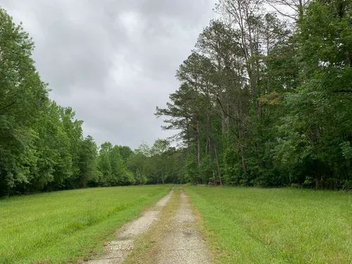 10 Best Hikes and Trails in Cochran Mill Nature Center | AllTrails