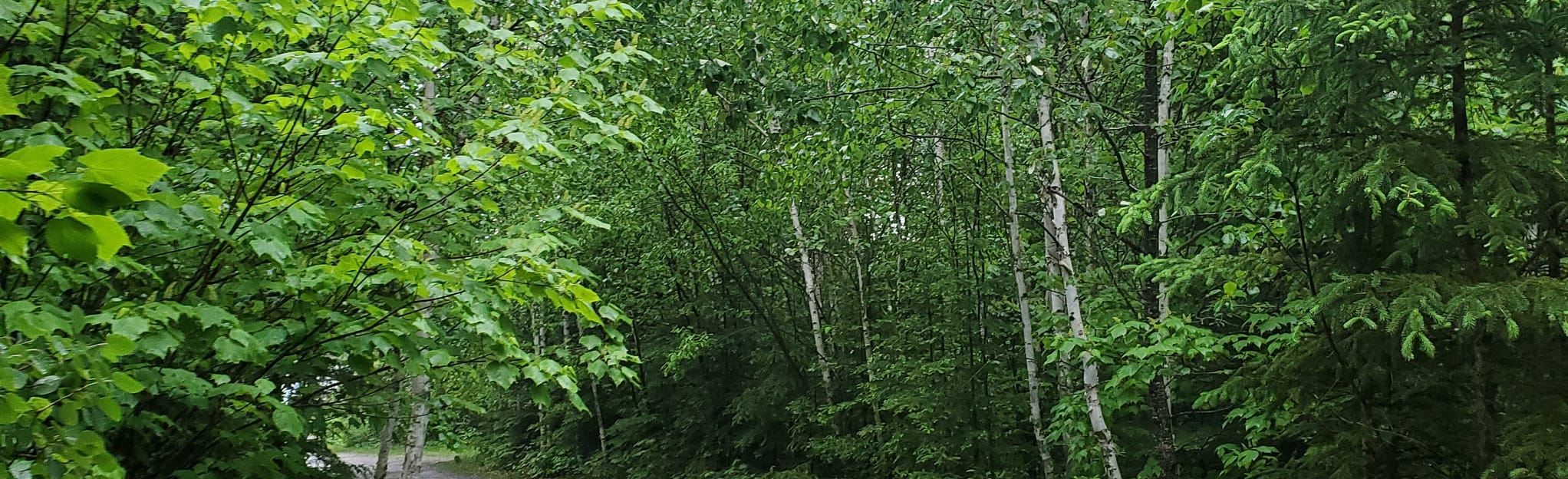 Lyons Lake, Manitoba, Canada - 20 Reviews, Map | AllTrails