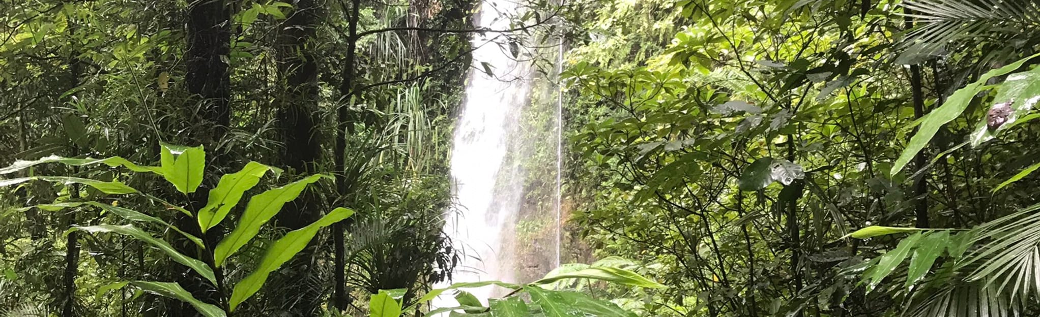 Wispy Falls via Cochable Creek, Queensland, Australia - 17 Reviews, Map ...