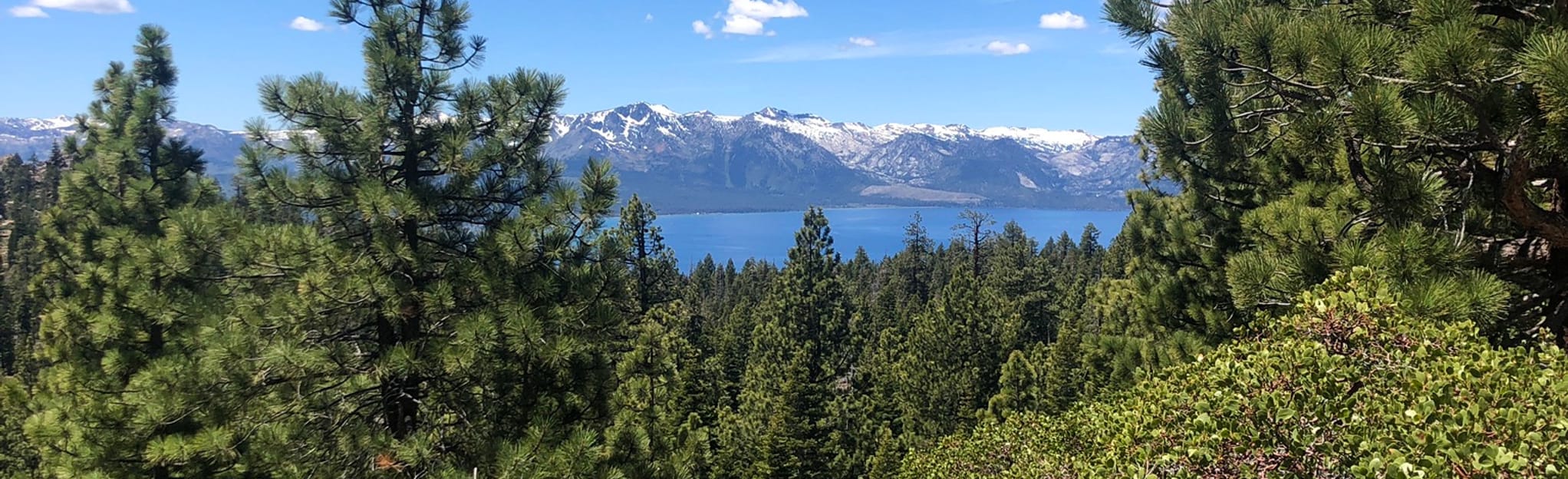 Castle Rock Loop Trail: 1574 Reviews, Map - Nevada | AllTrails