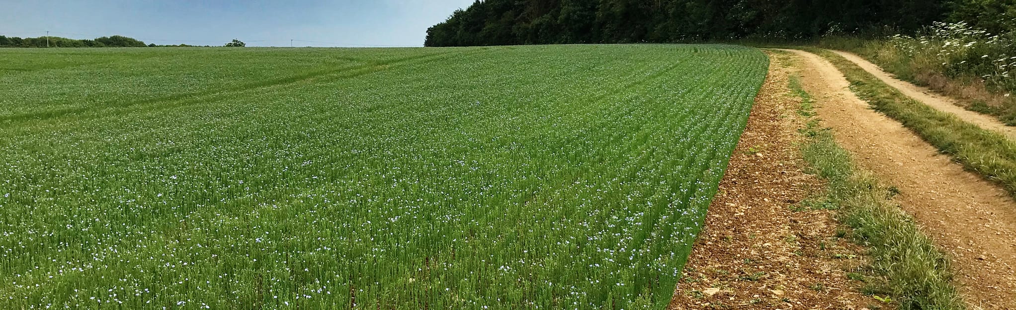River Coln, Fairford and Quenington Circular, Gloucestershire, England ...