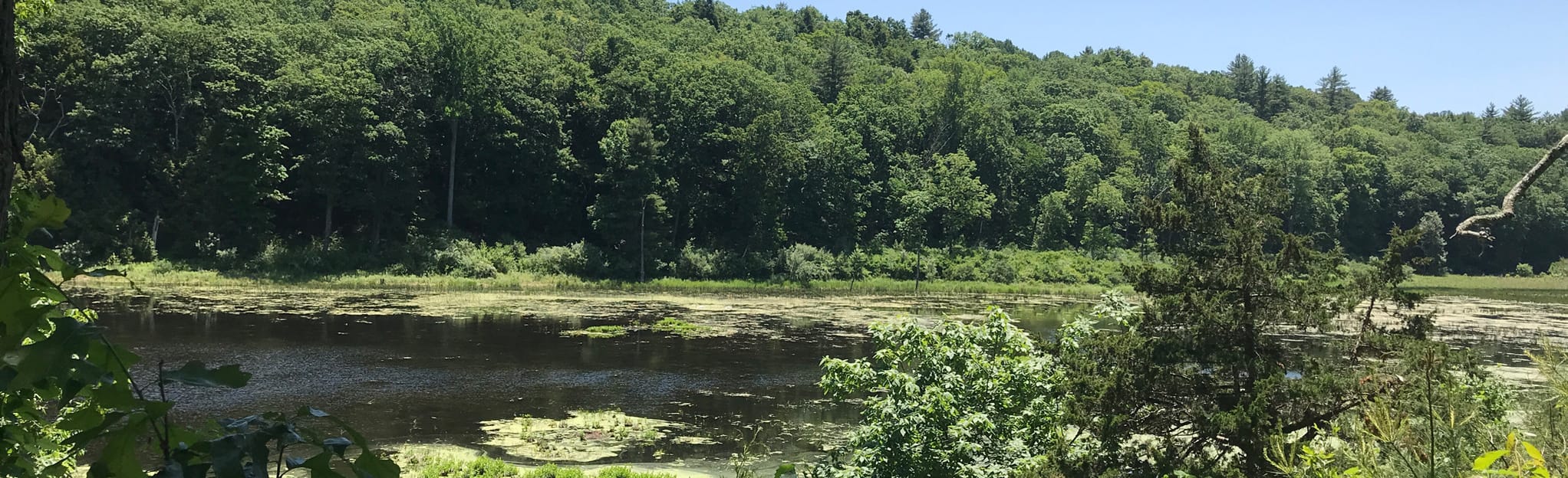 Walpack Ridge Loop: 64 Reviews, Map - New Jersey | AllTrails