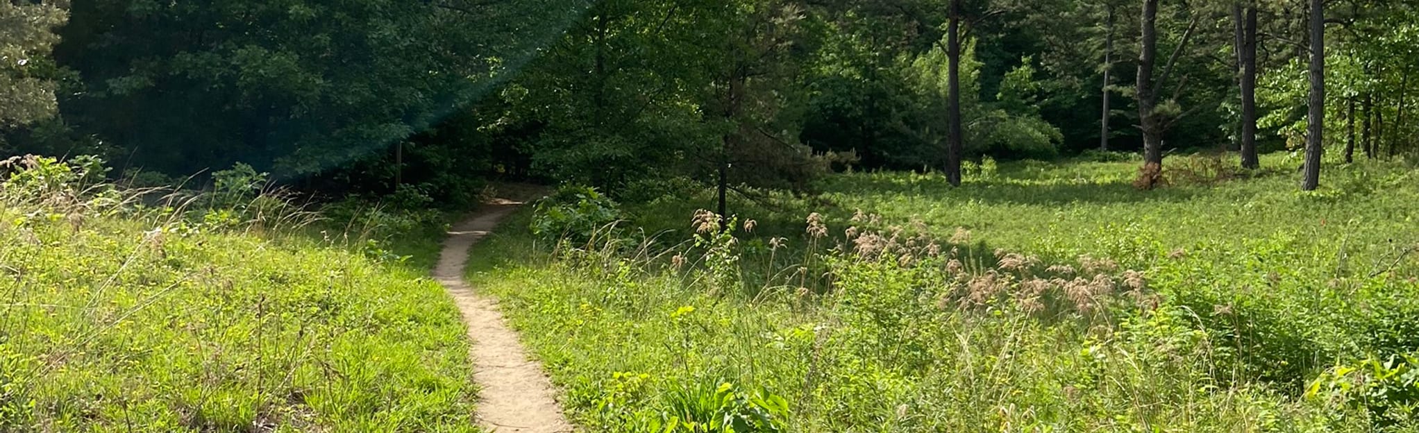 Old Gick Farm and Fox Trail | Map, Guide - New York | AllTrails