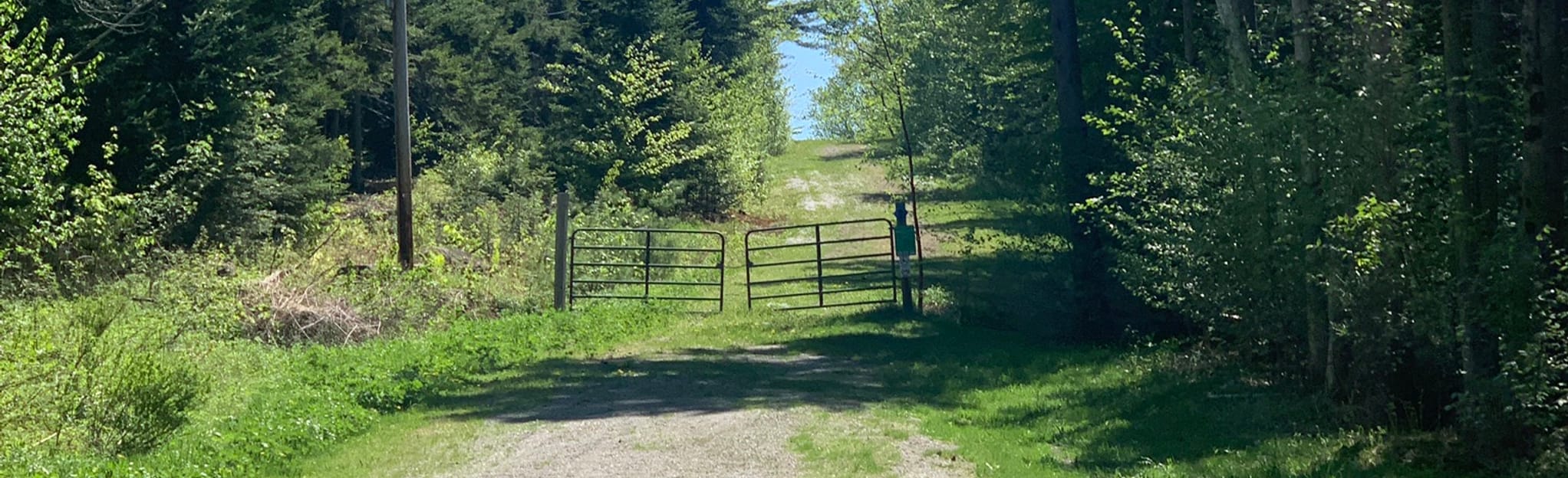 Lake Raponda Trail: 49 Reviews, Map - Vermont | AllTrails