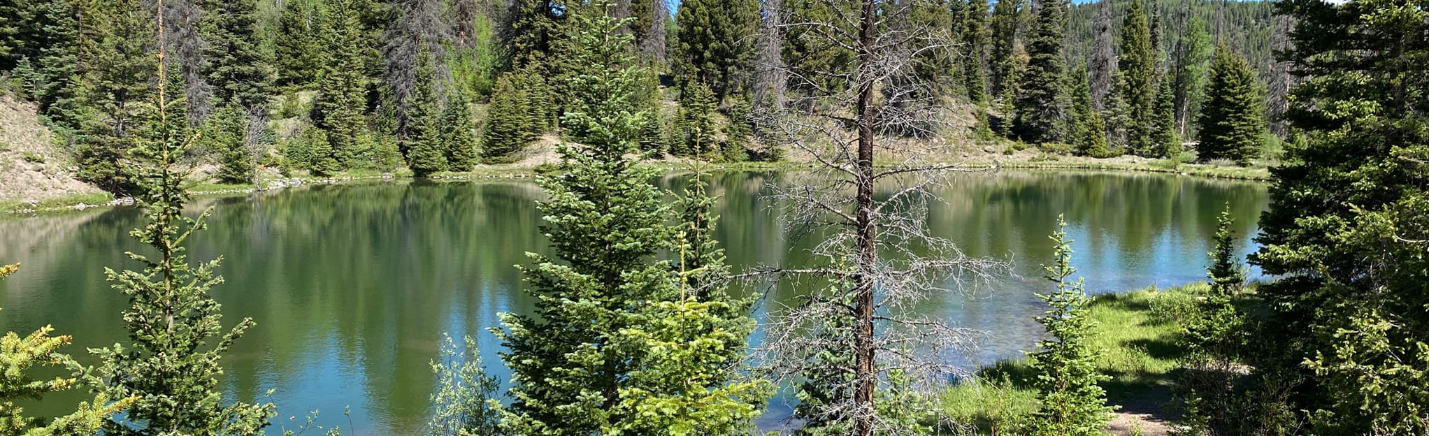 Duck Lake Trail 144 Reviews Map Colorado Alltrails