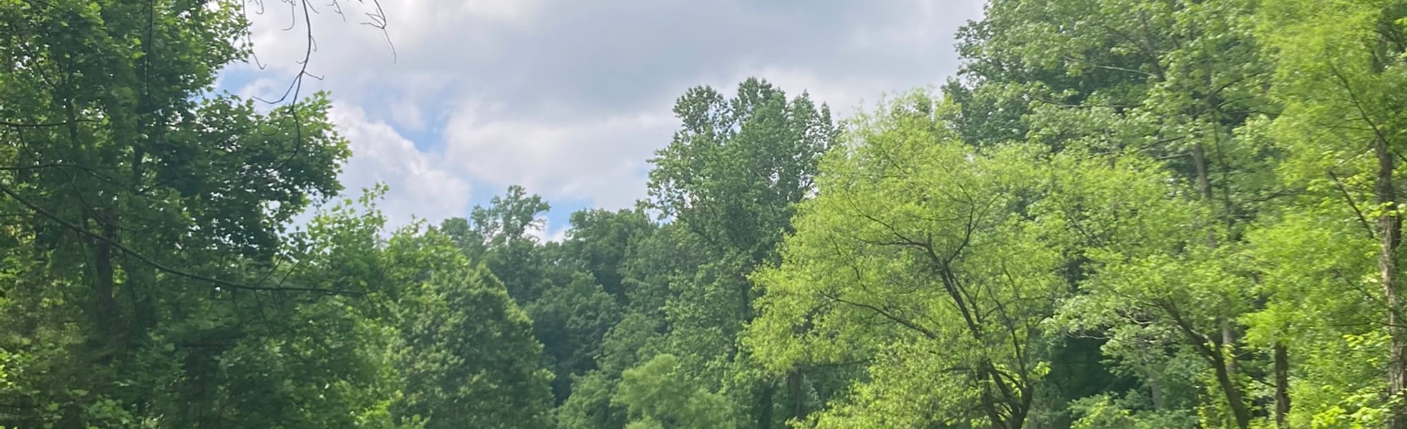 Rachel Carson Greenway Trail, Maryland - 964 Reviews, Map | AllTrails