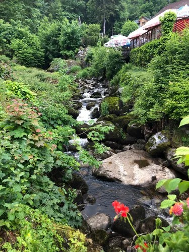 10 Best Trails and Hikes in Triberg im Schwarzwald | AllTrails