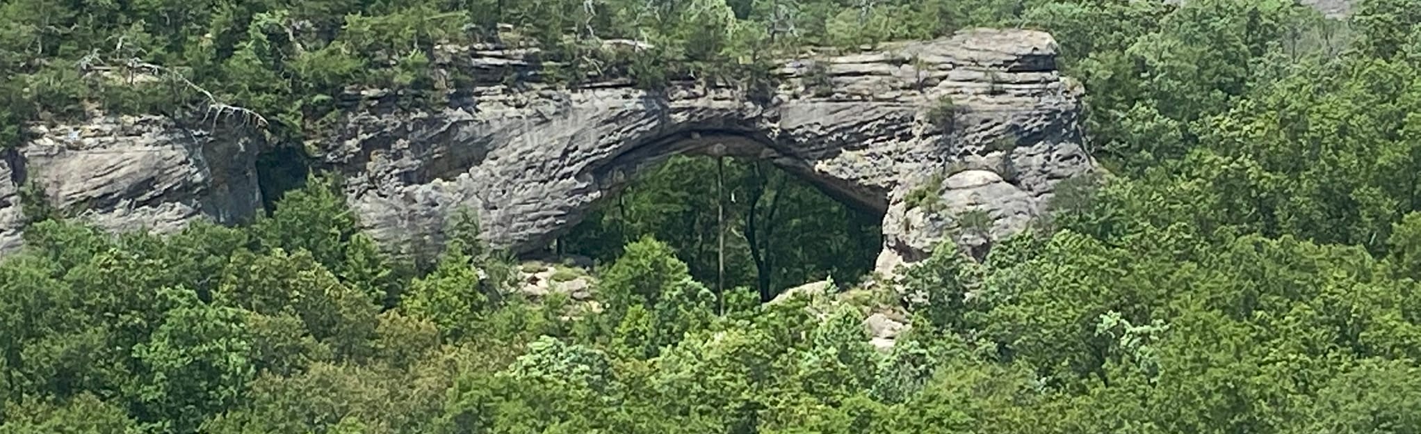 Natural Arch Scenic Overlook, Kentucky - 49 Reviews, Map | AllTrails