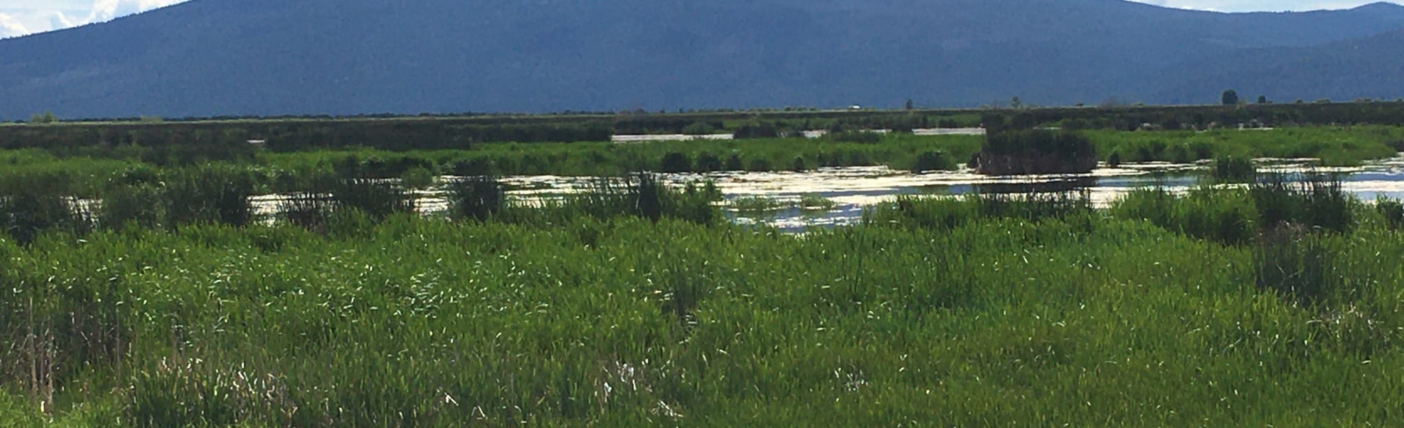Wood River Wetland, Oregon - 42 Reviews, Map | AllTrails