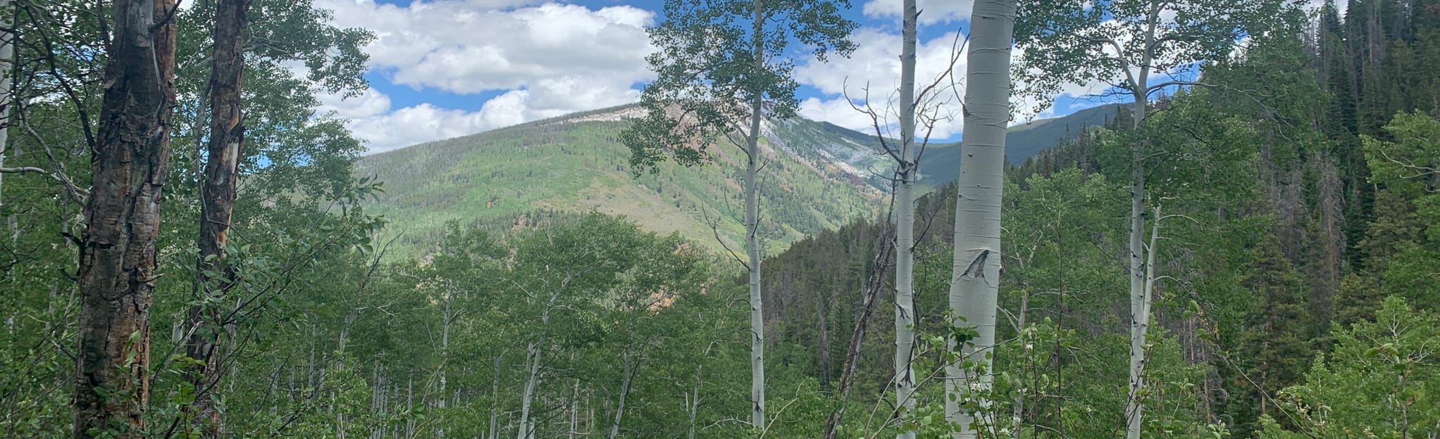McKenzie Gulch, Colorado - 97 Reviews, Map | AllTrails