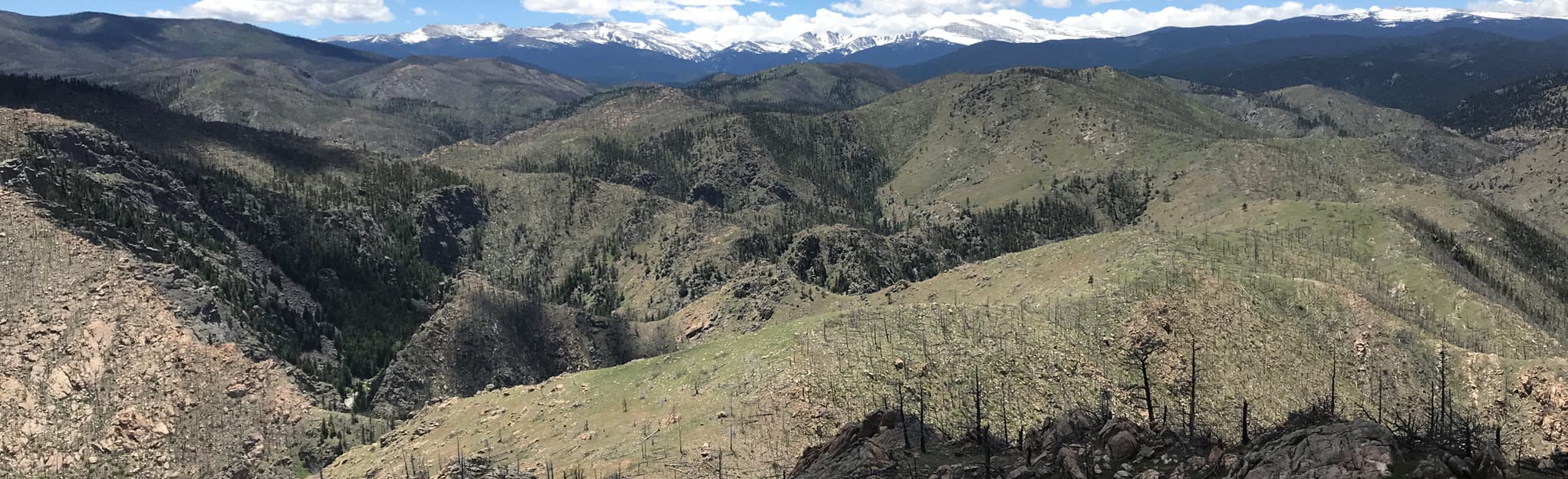 Mount McConnel Trail, Colorado - 502 Reviews, Map | AllTrails