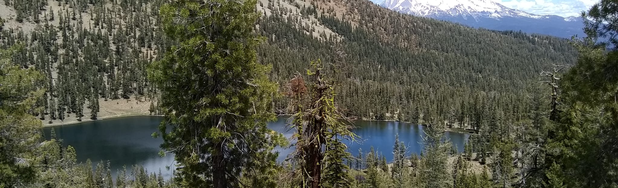 Porcupine Lake and Toad Lake: 84 foto - California | AllTrails