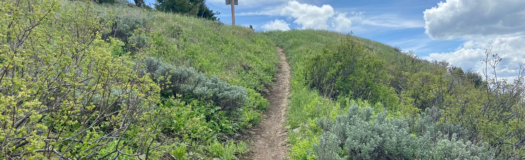 Round Mountain from North Trailhead, Oregon - 52 Reviews, Map | AllTrails