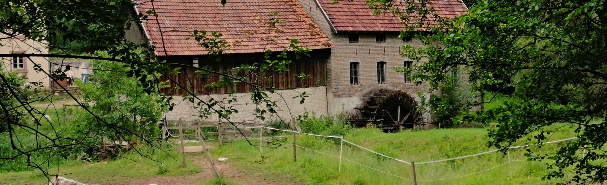 Kneispermühle - Faustermühle - Schloßwald: 1 Reviews, Map - Rhineland-Palatine, Germany | AllTrails