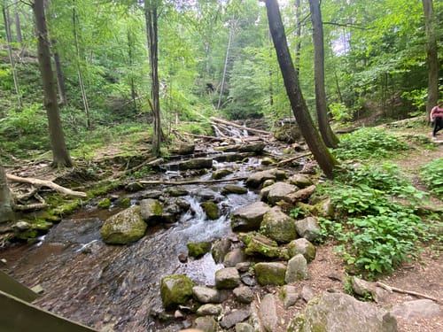 2023 Best 10 Long Trails in Worthington State Forest | AllTrails