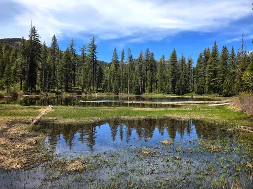 10 Best Trails and Hikes in Trinity Center | AllTrails