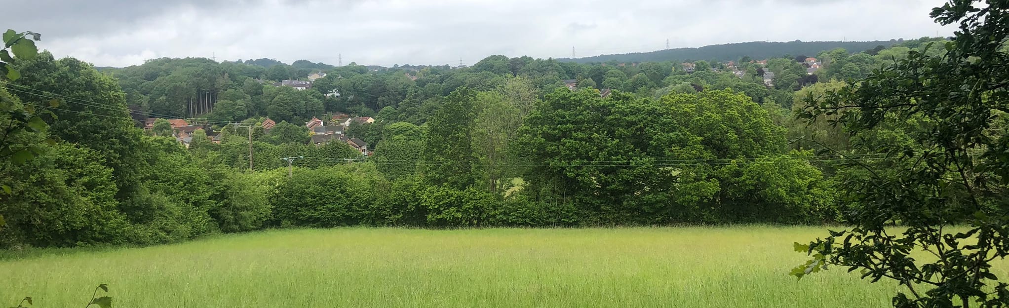 Derwent Walk Railway Path: 18 Reviews, Map - County Durham, England ...