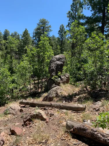 10 Best Trails and Hikes in Williams | AllTrails