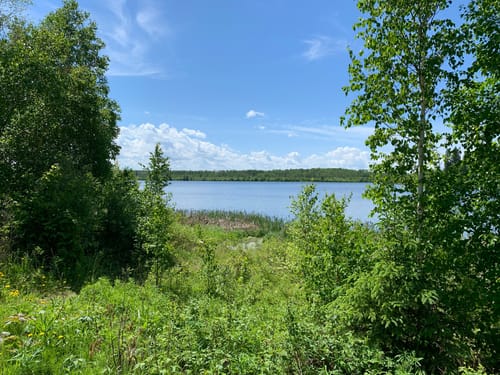 Best 10 Hikes and Trails in Cooking Lake/Blackfoot Provincial ...