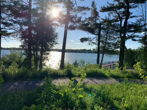 Best Hikes and Trails in Lake Wilcox Park | AllTrails