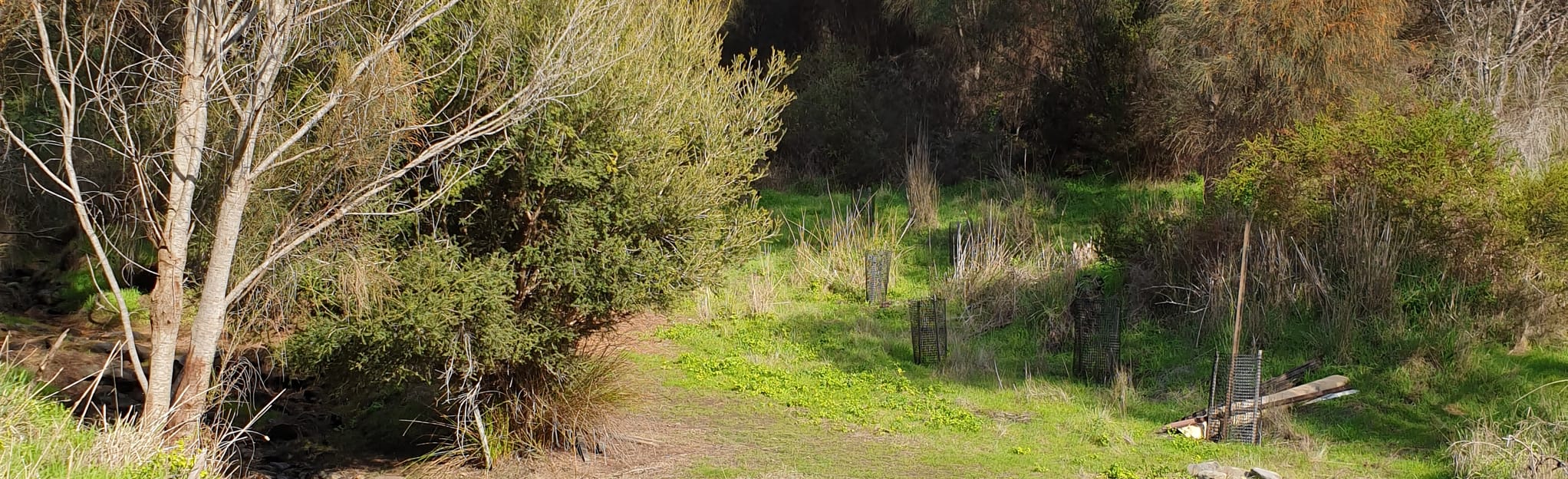 Wallaby Track, South Australia, Australia - 6 Reviews, Map | AllTrails