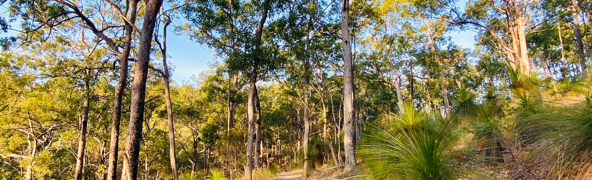 Chermside Hills Reserve Long Loop: 316 Fotos - Queensland, Australien ...