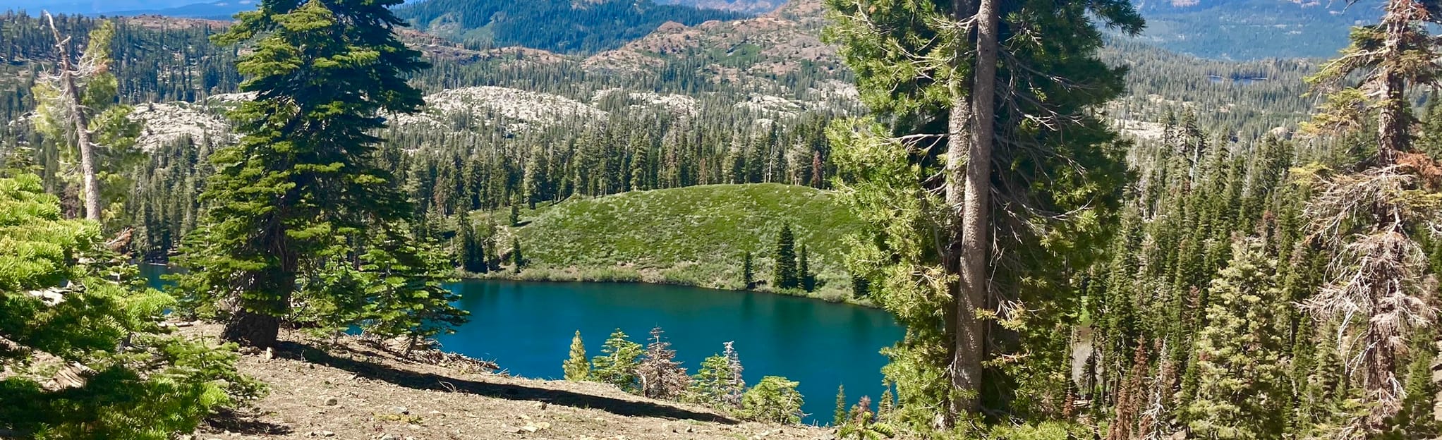 Grouse Ridge Trail, California - 51 Reviews, Map | AllTrails