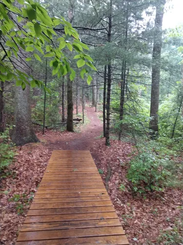 10 Best Trails and Hikes in Attleboro | AllTrails