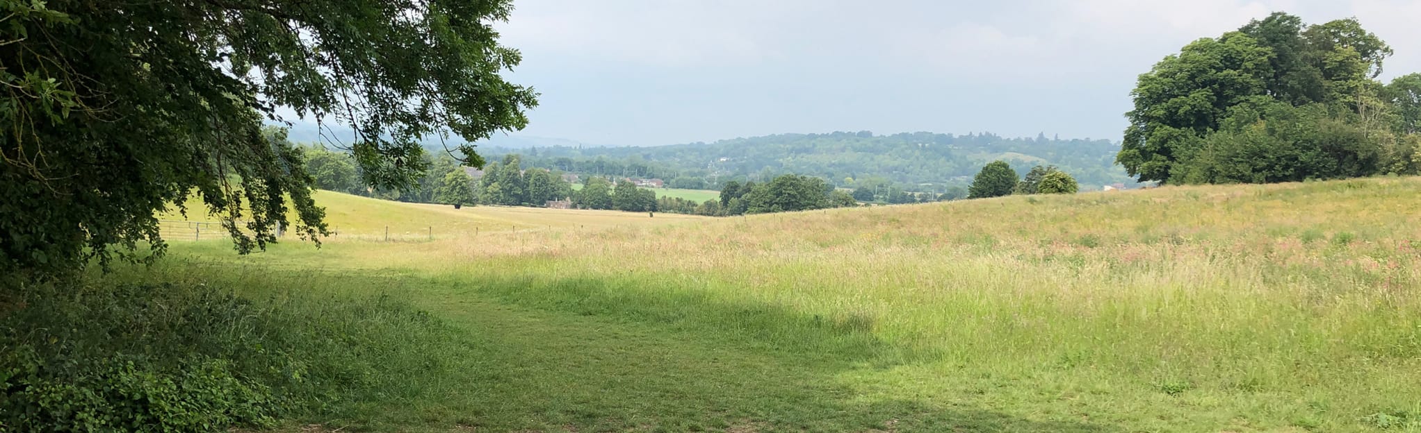 Sulham Woods Circular, Berkshire, England - 134 Reviews, Map | AllTrails