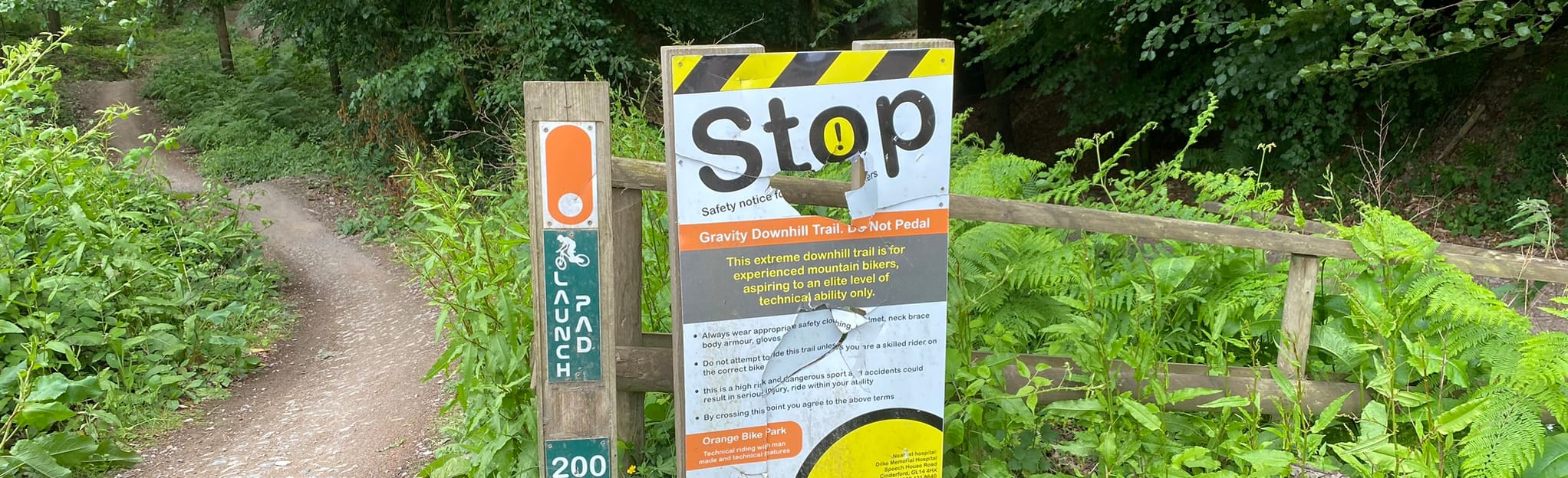 Beechenhurst Trail Circular, 6 Fotos - Gloucestershire, England | AllTrails