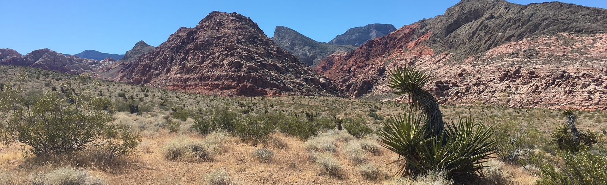 Calico Basin Loop, Nevada - 145 Reviews, Map | AllTrails