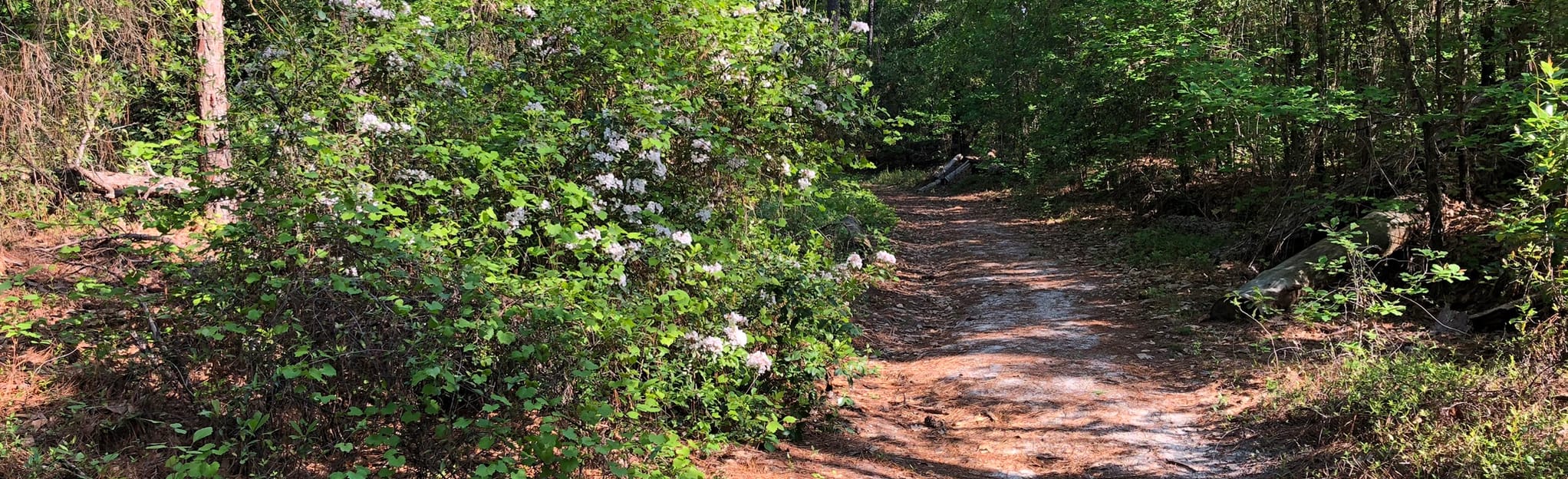 Henderson Heritage Lower Trail | Map, Guide - South Carolina | AllTrails