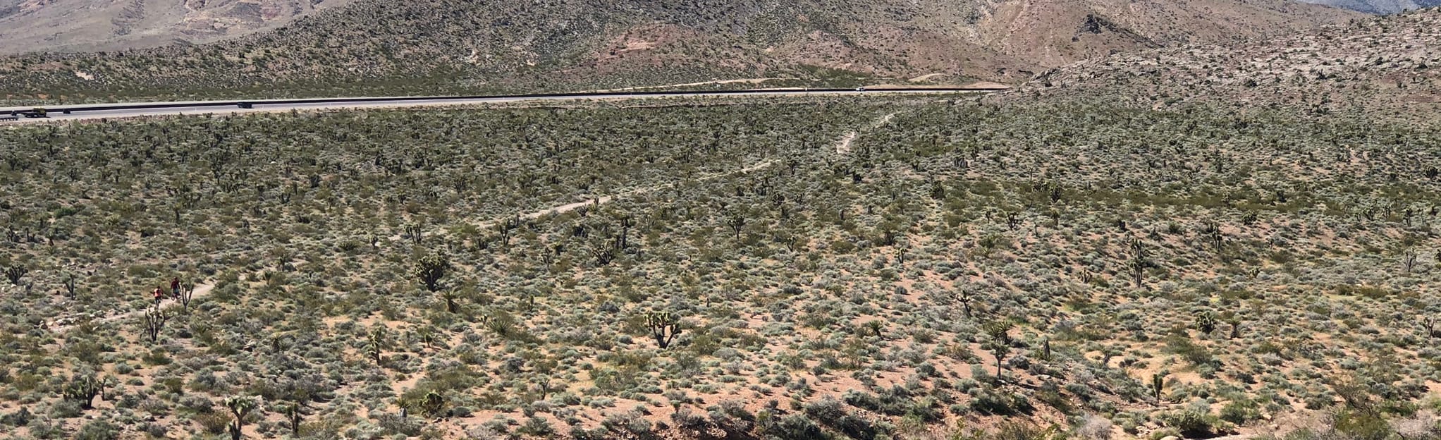 Blue Diamond Hurl Trail, Nevada - 107 Reviews, Map | AllTrails
