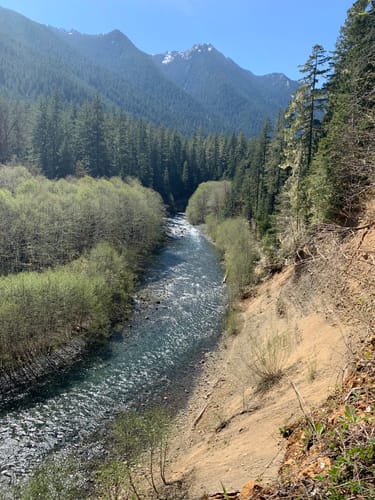 2023 Best 10 Trails and Hikes in Brinnon | AllTrails