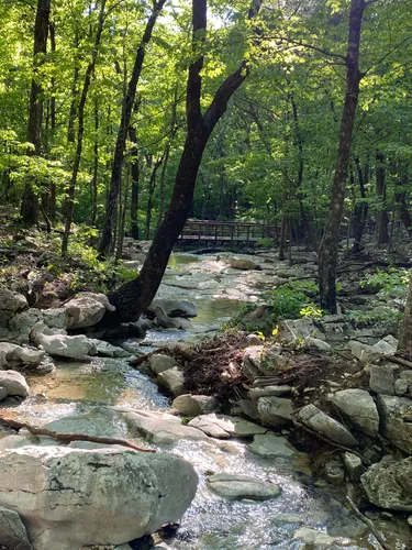 10 Best Hikes and Trails in Blevin's Gap Nature Preserve | AllTrails